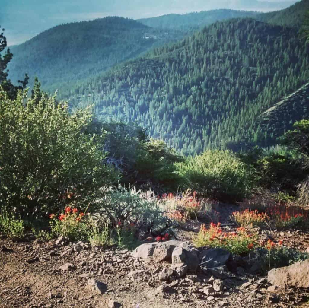 The Best Trails in Reno - Reno Running Company